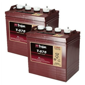 8v Car Battery