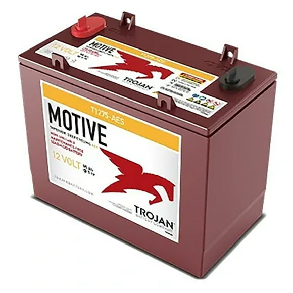 AGM Deep Cycle Batteries in Deep Cycle Batteries - Walmart.com