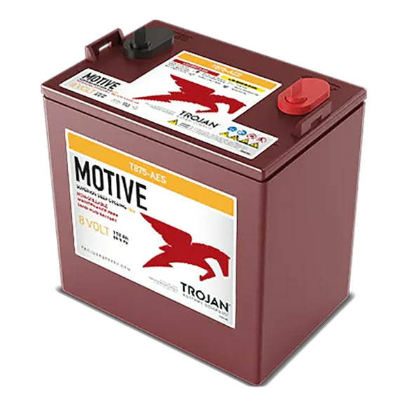 8v Car Battery
