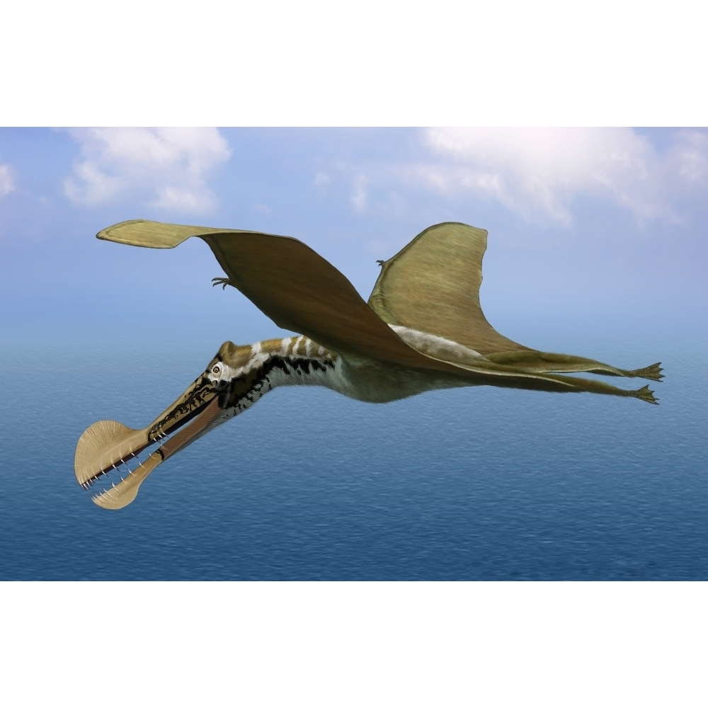 Tropeognathus mesembrinus a large pterosaur from the Late Cretaceous ...