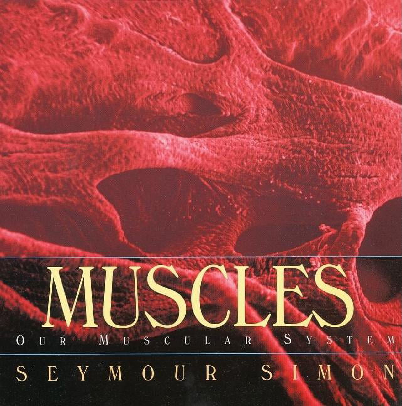 Trophy Picture Books (Paperback) Muscles: Our Muscular System ...