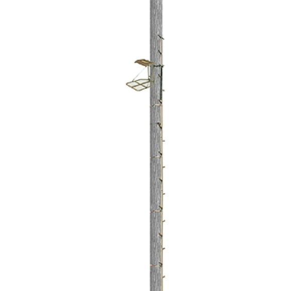 20 Ft Ladder Stand