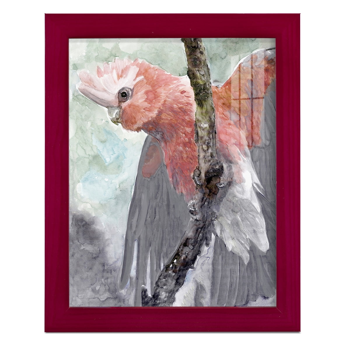 Tropic Parrot II - Framed Print w/glass - Cherry Red - Walmart.com