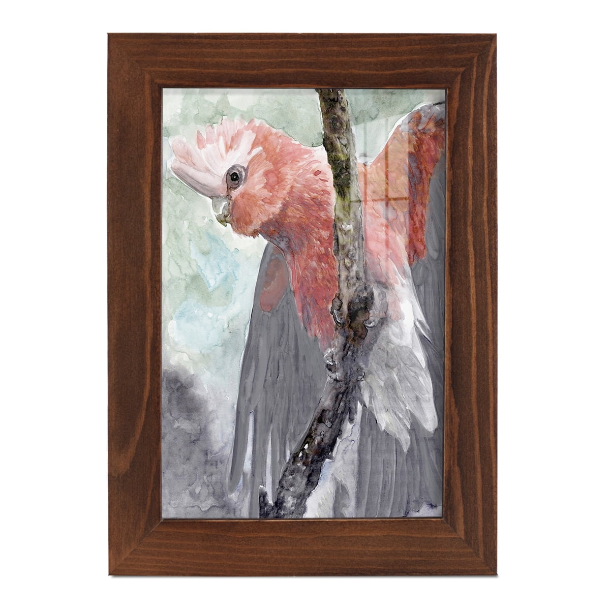 Tropic Parrot II - Framed Print w/glass - Chestnut - Walmart.com