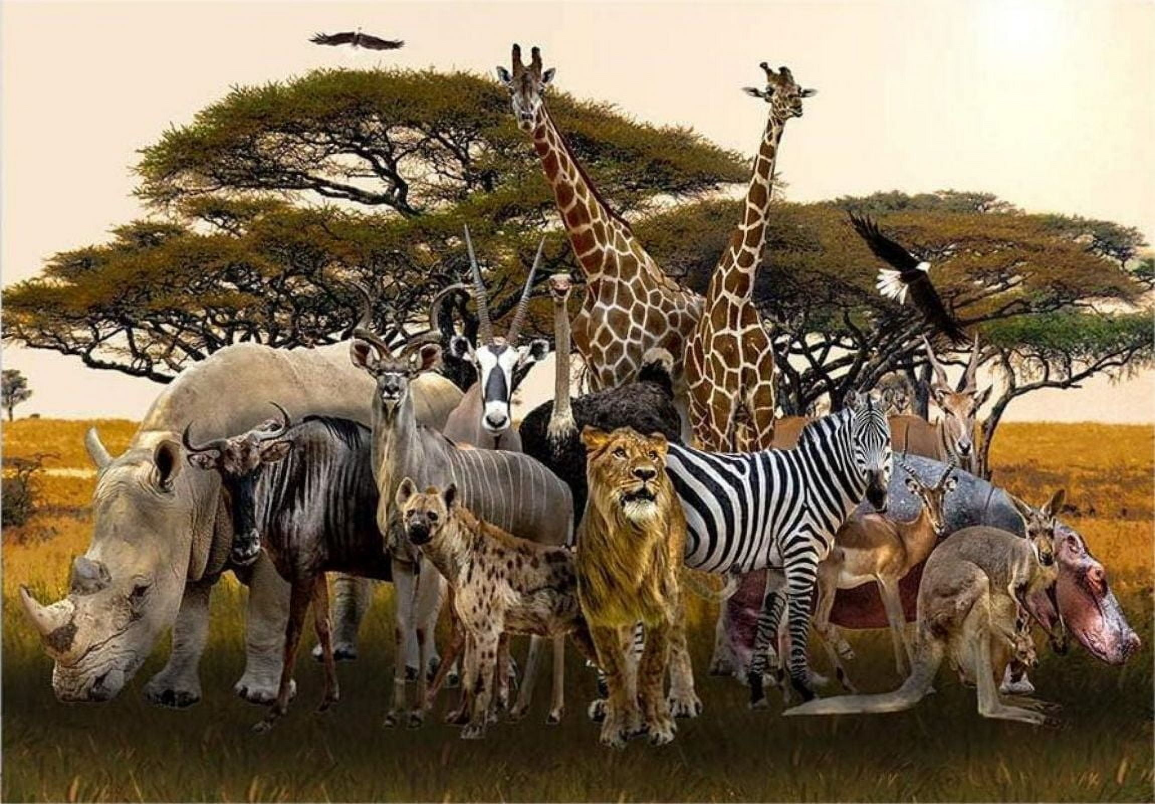 Tropical African Photo Background Animal World Photography Backdrops ...