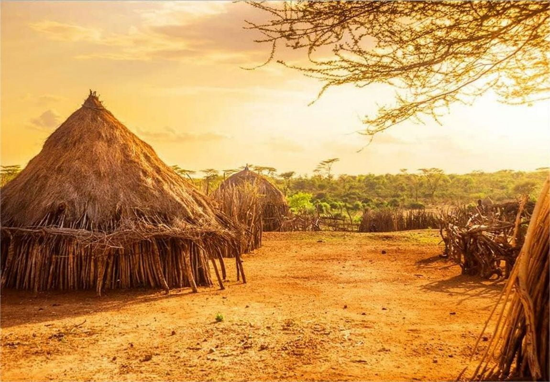 Tropical African Photo Background Animal World Photography Backdrops ...