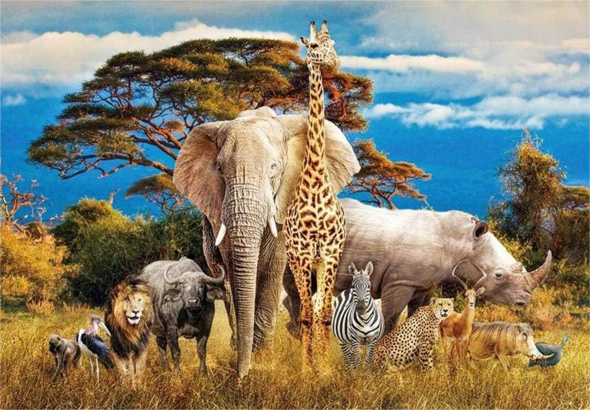 Tropical African Photo Background Animal World Photography Backdrops ...