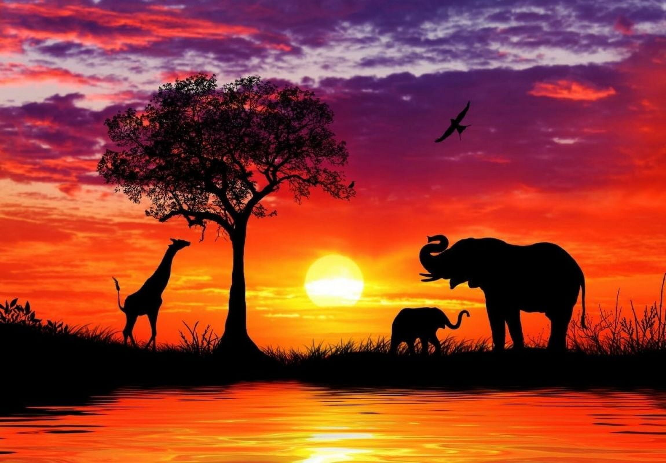 Tropical African Photo Background Animal World Photography Backdrops ...
