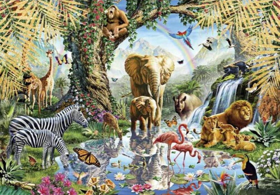 Tropical African Photo Background Animal World Photography Backdrops ...