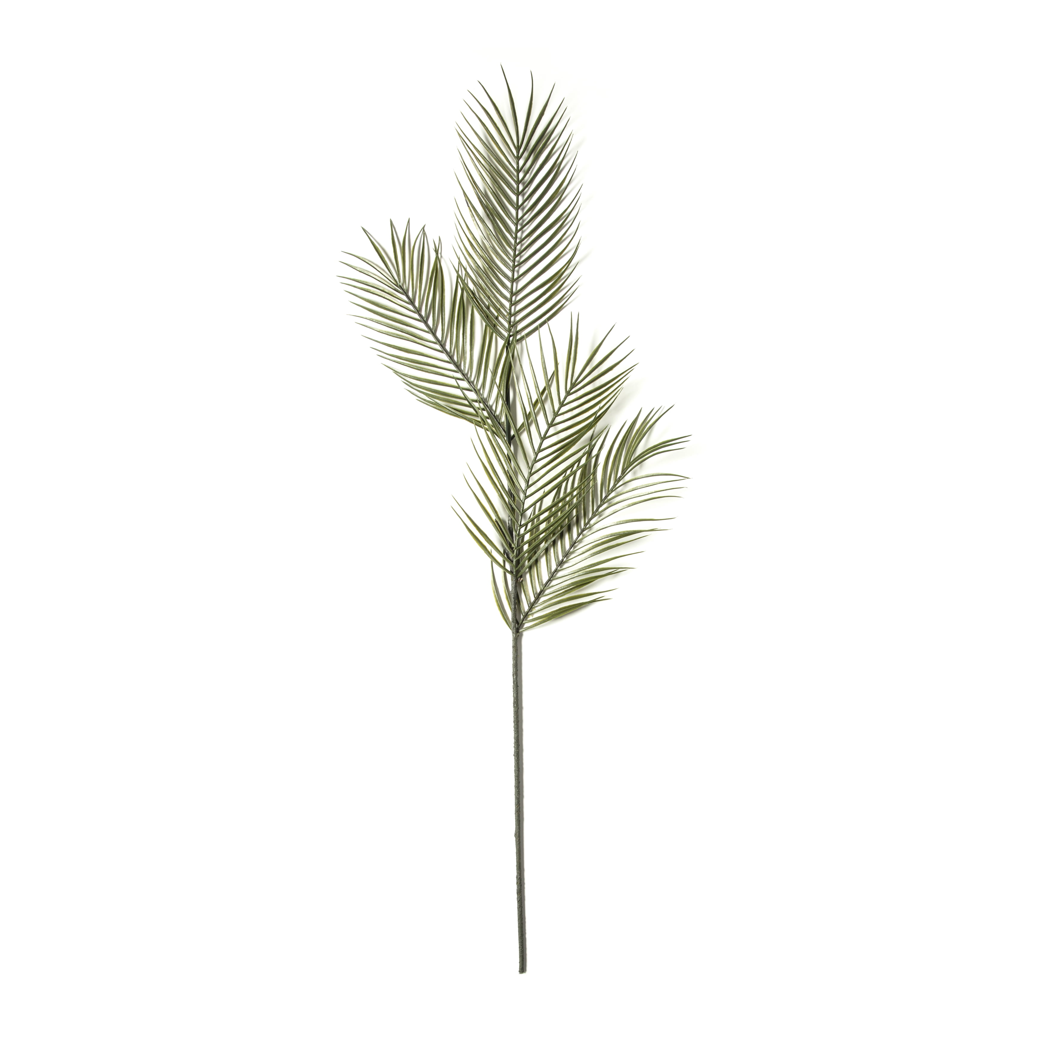 Tropical Areca Palm Stem by Ashland - Walmart.com