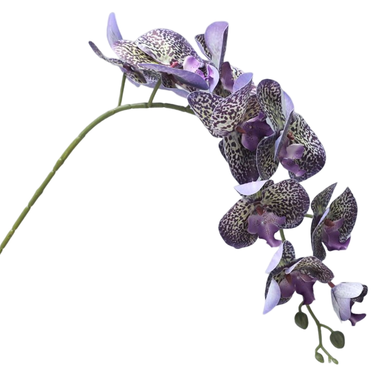 Tropical Artificial Flower Long Stem Butterfly Orchid Big Size Lifelike ...