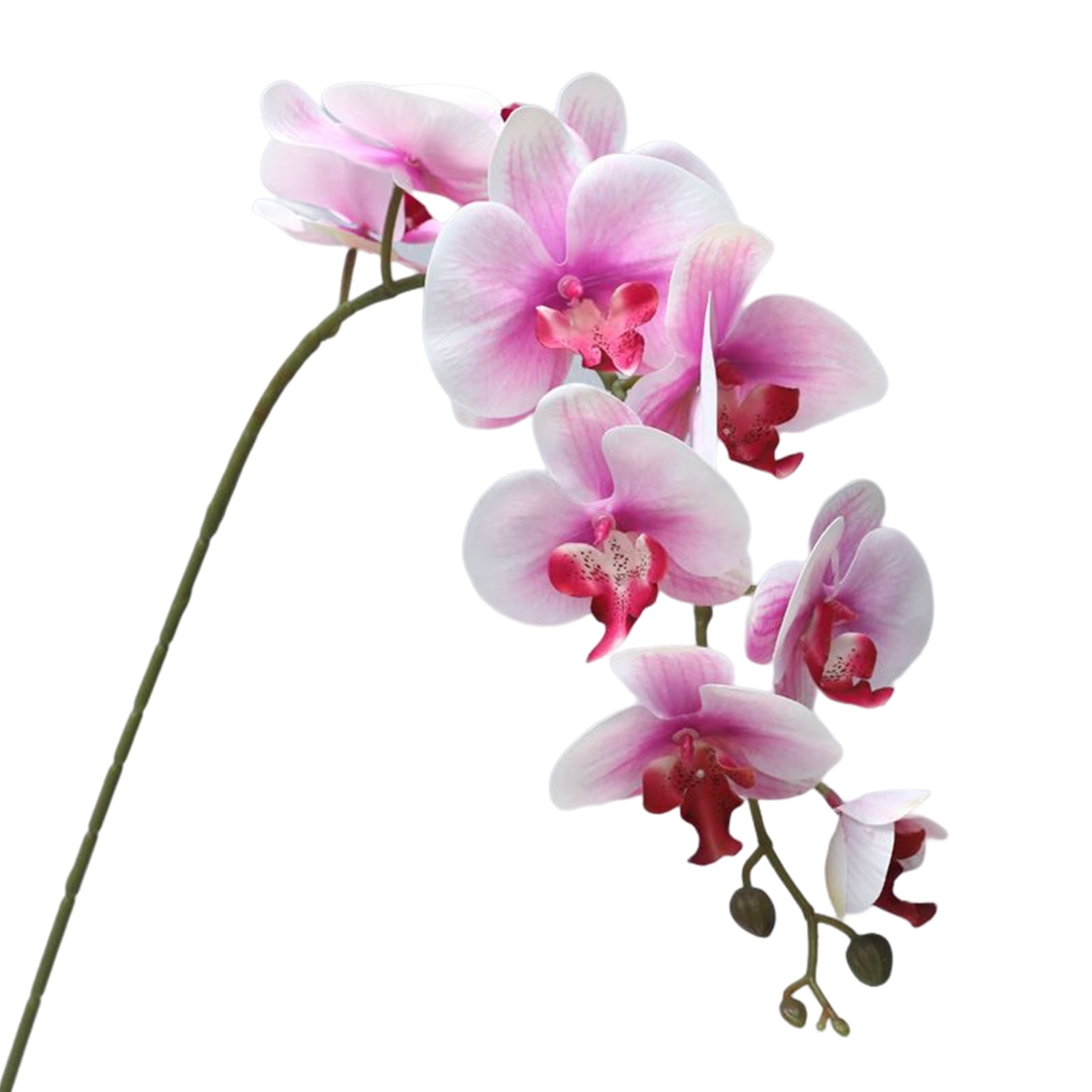Tropical Artificial Flower Long Stem Butterfly Orchid Big Size Lifelike ...