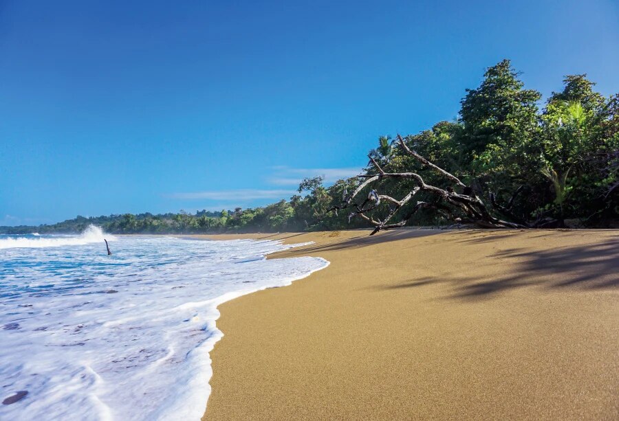 Tropical Backdrops Sea Beach Palms Tree Swing Island Cloudy Sky Scenic Photographic Backgrounds ...