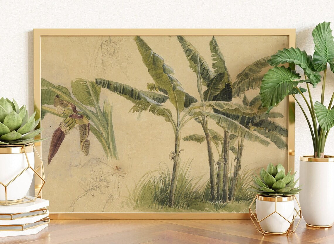 Tropical Banana Plant, Vintage Illustration, Botanical Wall Art, Banana ...