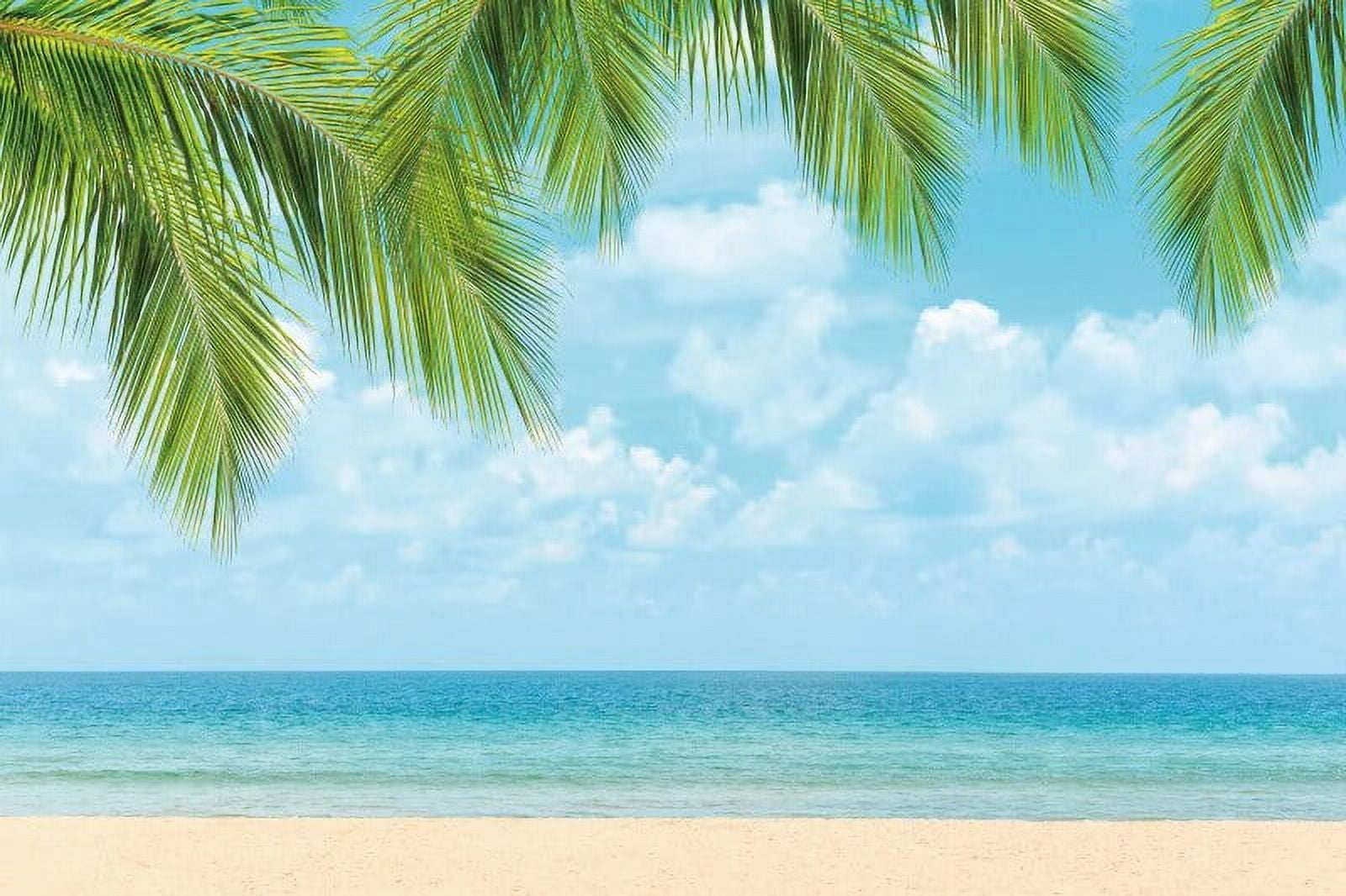Tropical Beach Background Summer Luau Palm Leaves Ocean Island Seaside ...