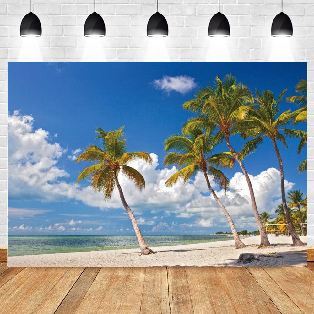 Tropical Beach Background Summer Luau Palm Leaves Ocean Island Seaside ...