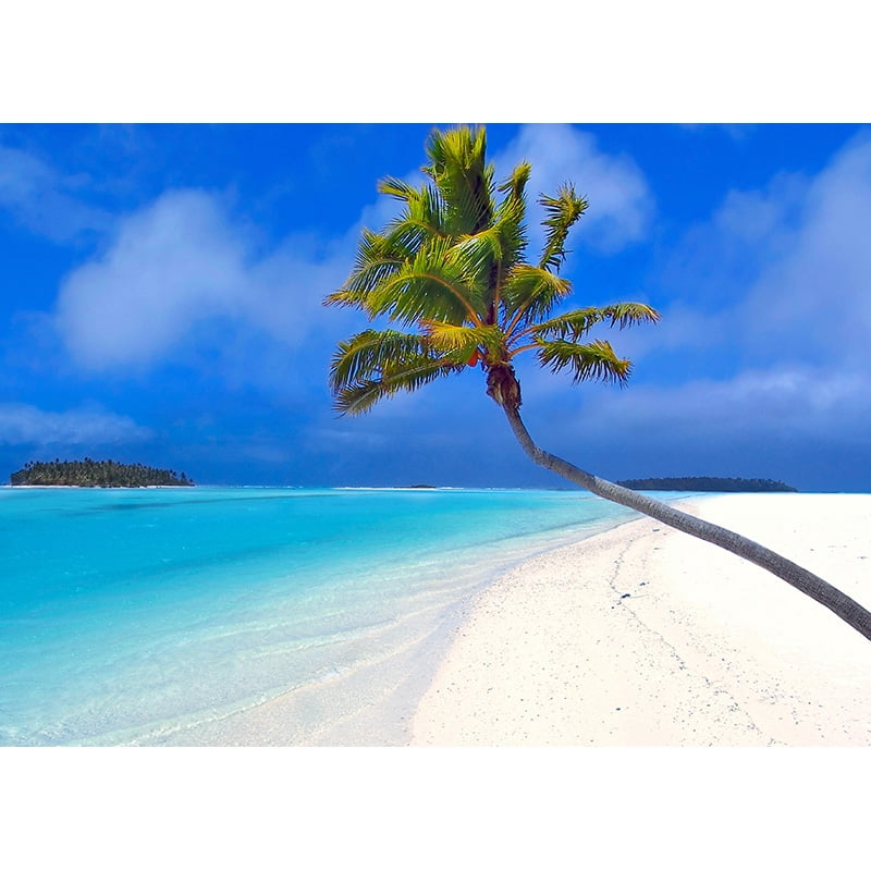 Tropical Beach Natural Landscape Photography Backdrops Landscape Blue ...
