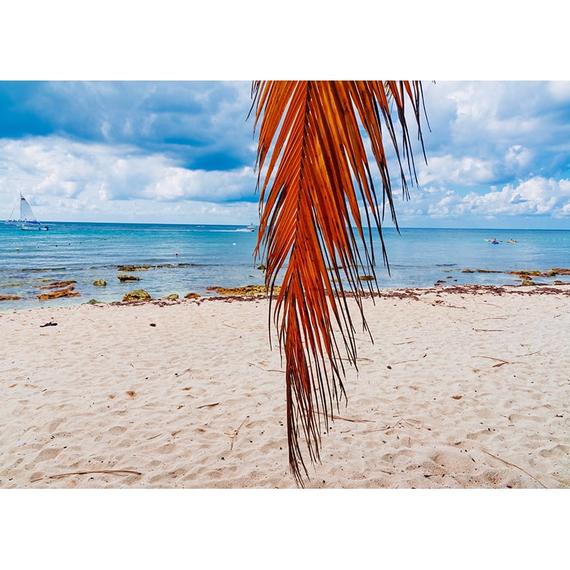 Tropical Beach Natural Landscape Photography Backdrops Landscape Blue ...