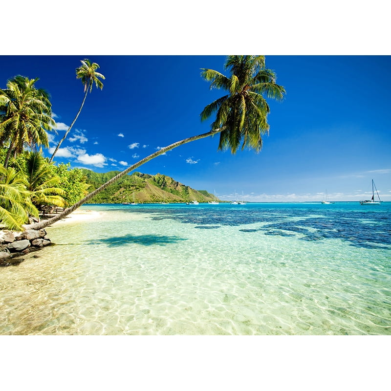 Tropical Beach Natural Landscape Photography Backdrops Landscape Blue ...