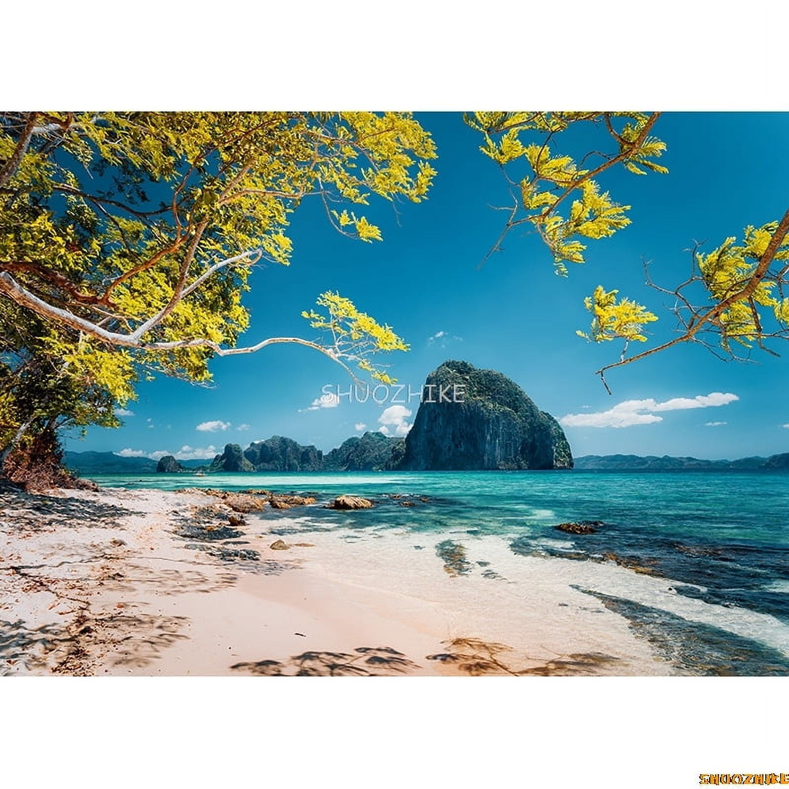 Tropical Beach Natural Landscape Photography Backdrops Landscape Blue ...