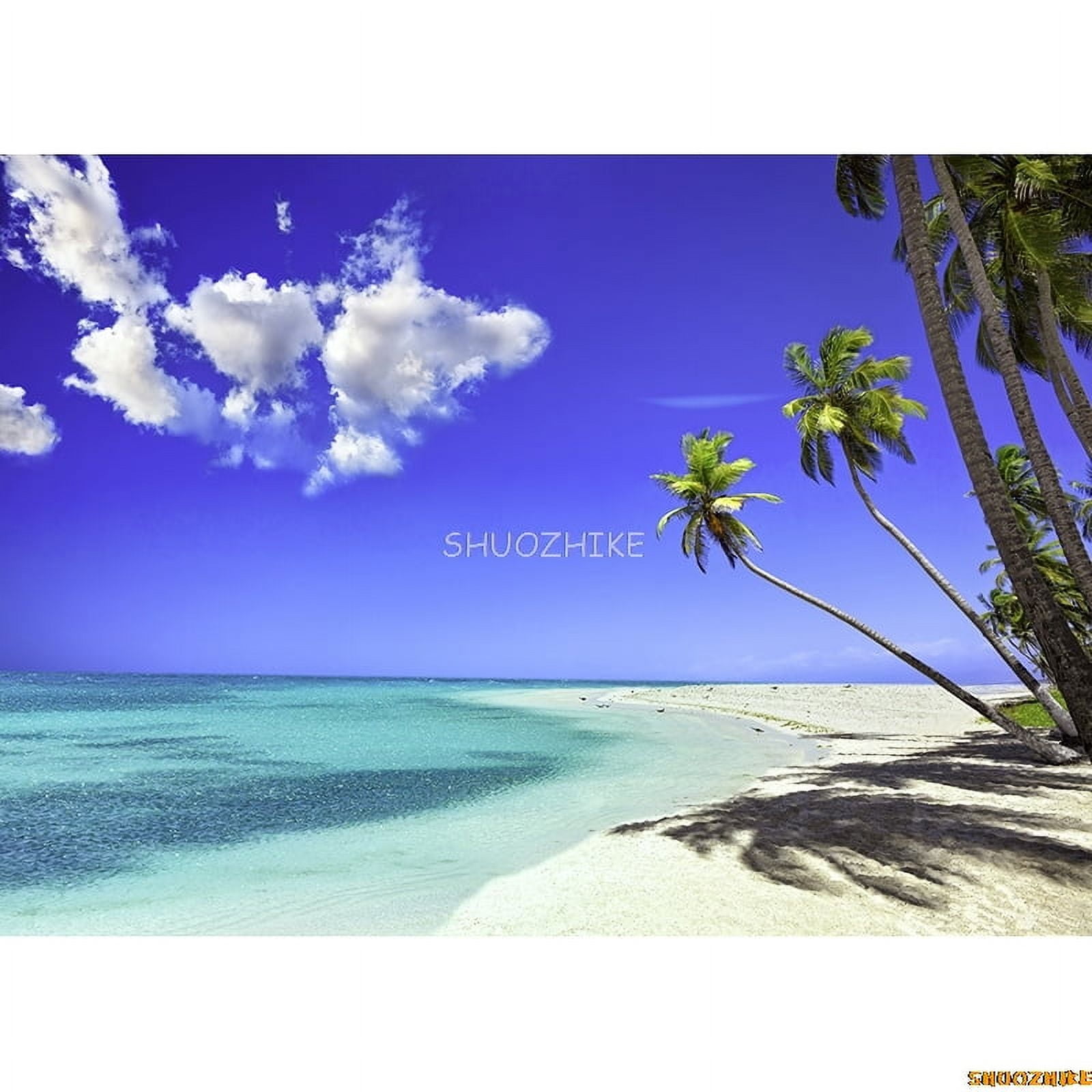 Tropical Beach Natural Landscape Photography Backdrops Landscape Blue ...