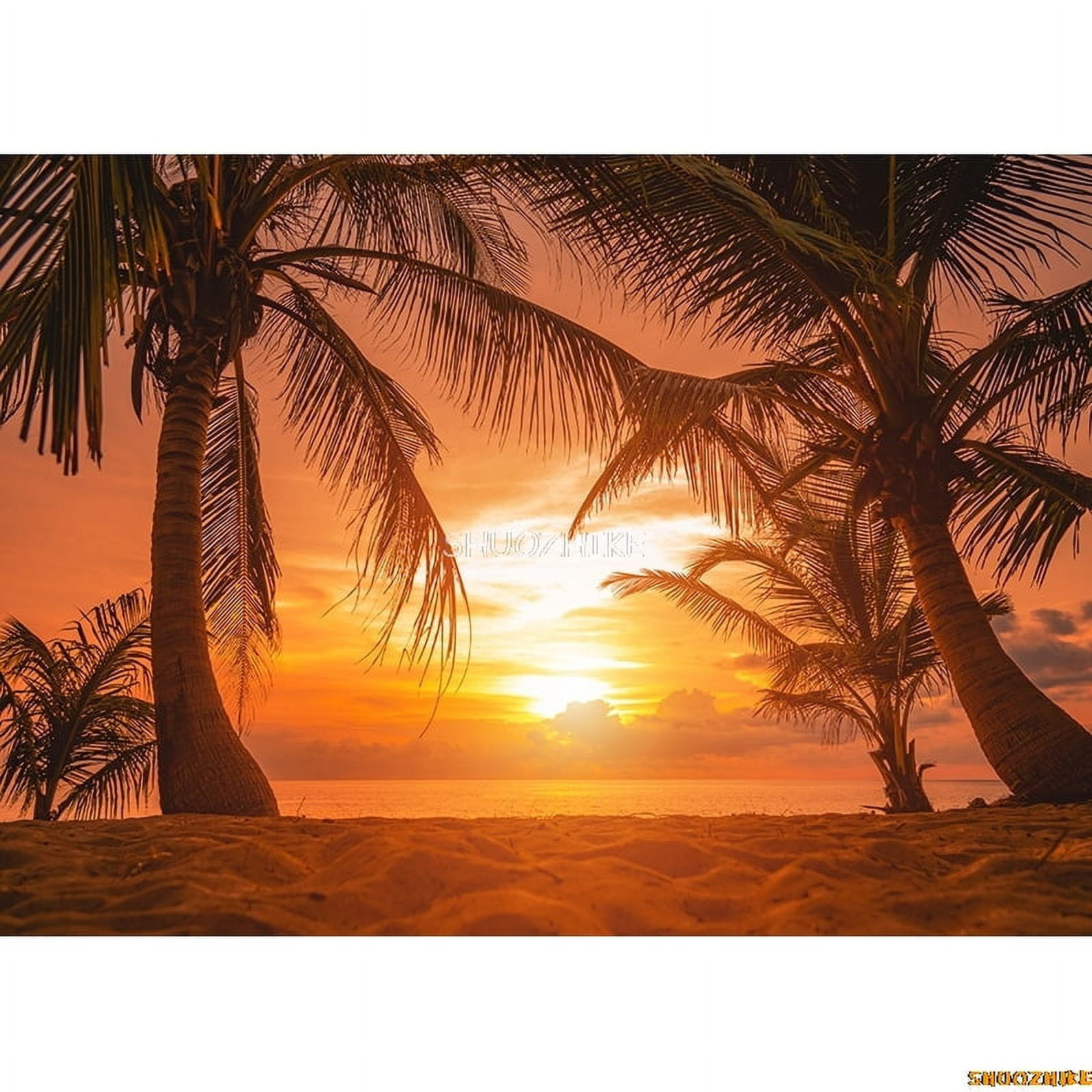 Tropical Beach Natural Landscape Photography Backdrops Landscape Blue ...