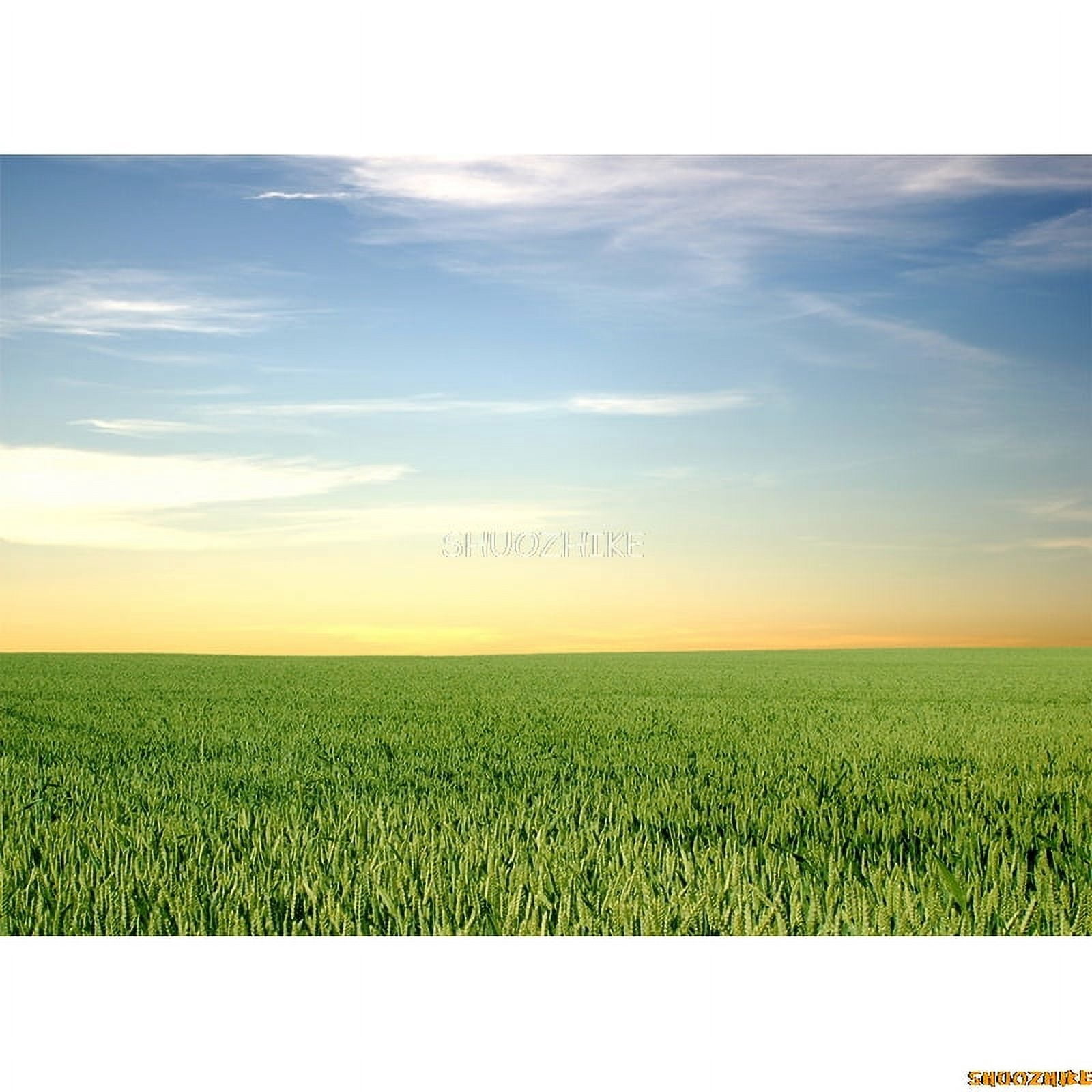 Tropical Beach Natural Landscape Photography Backdrops Landscape Blue ...