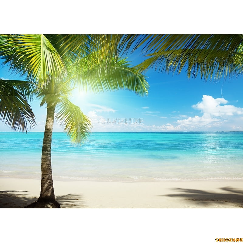 Tropical Beach Natural Landscape Photography Backdrops Landscape Blue ...