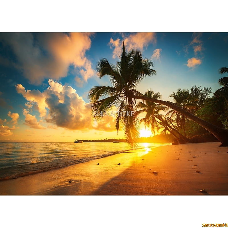 Tropical Beach Natural Landscape Photography Backdrops Landscape Blue ...