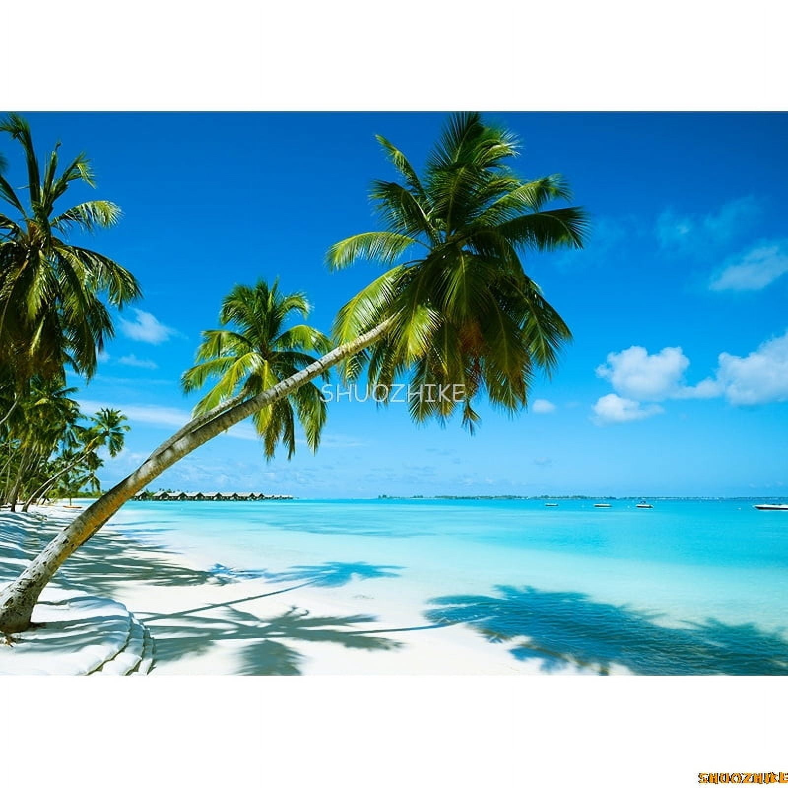 Tropical Beach Natural Landscape Photography Backdrops Landscape Blue ...