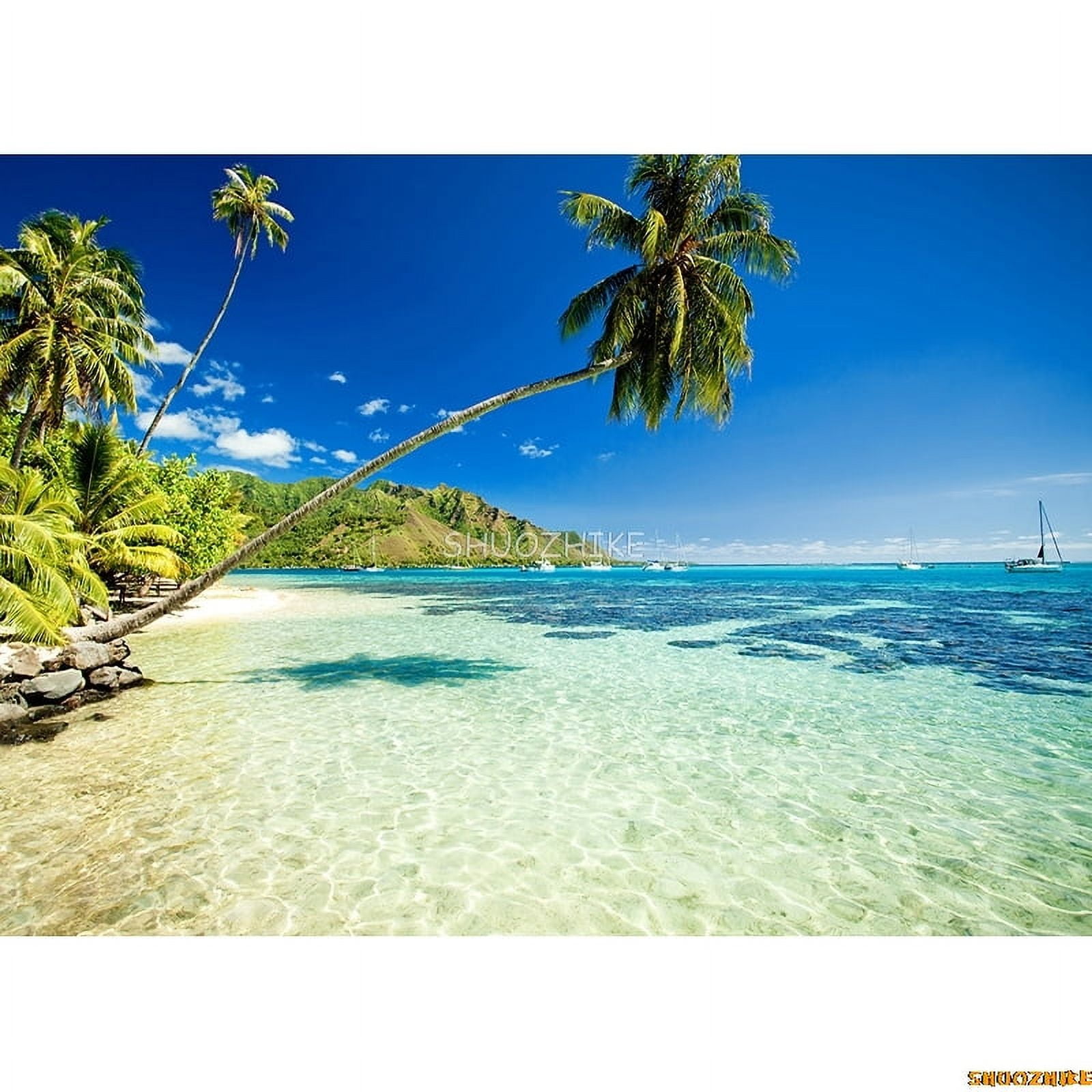 Tropical Beach Natural Landscape Photography Backdrops Landscape Blue ...