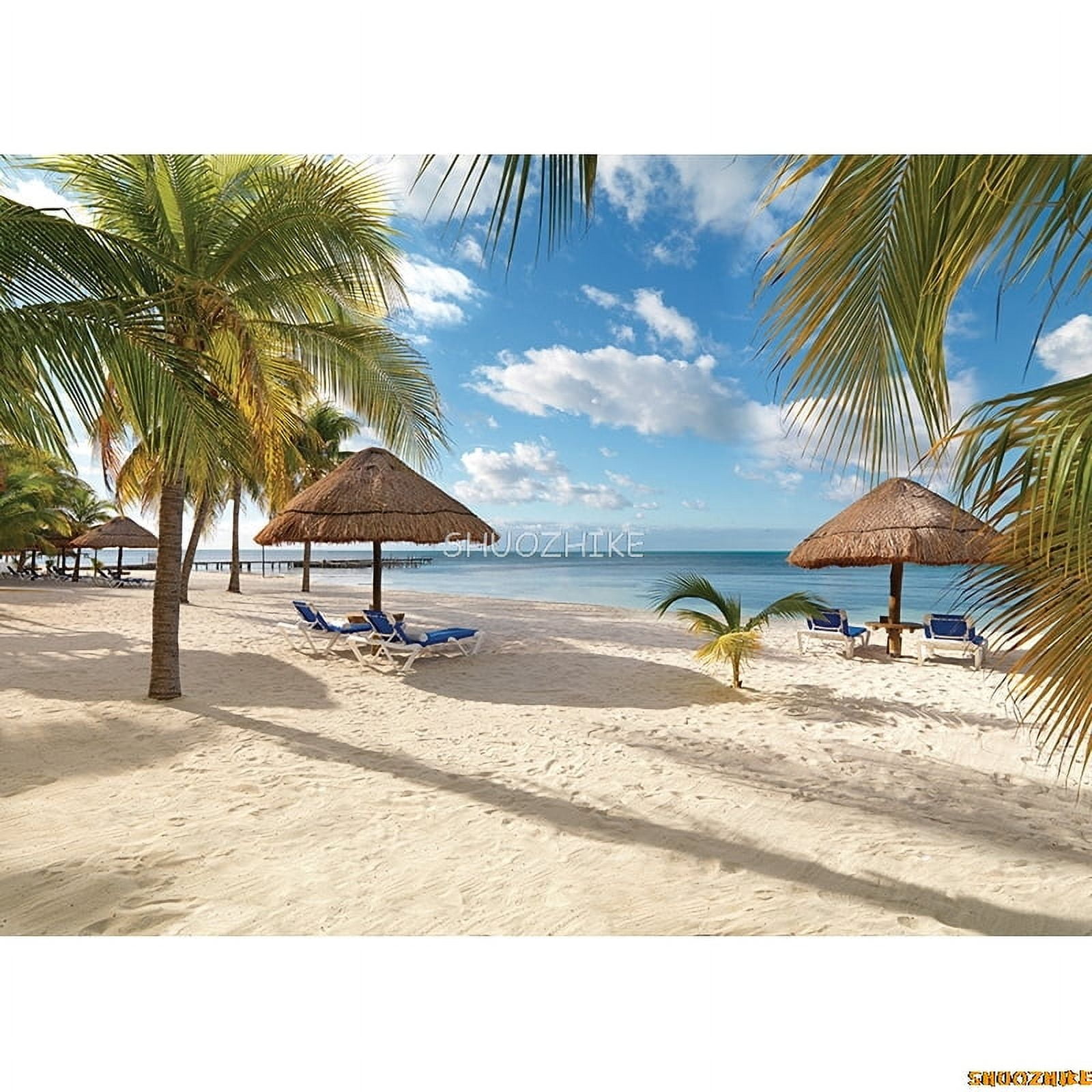 Tropical Beach Natural Landscape Photography Backdrops Landscape Blue ...