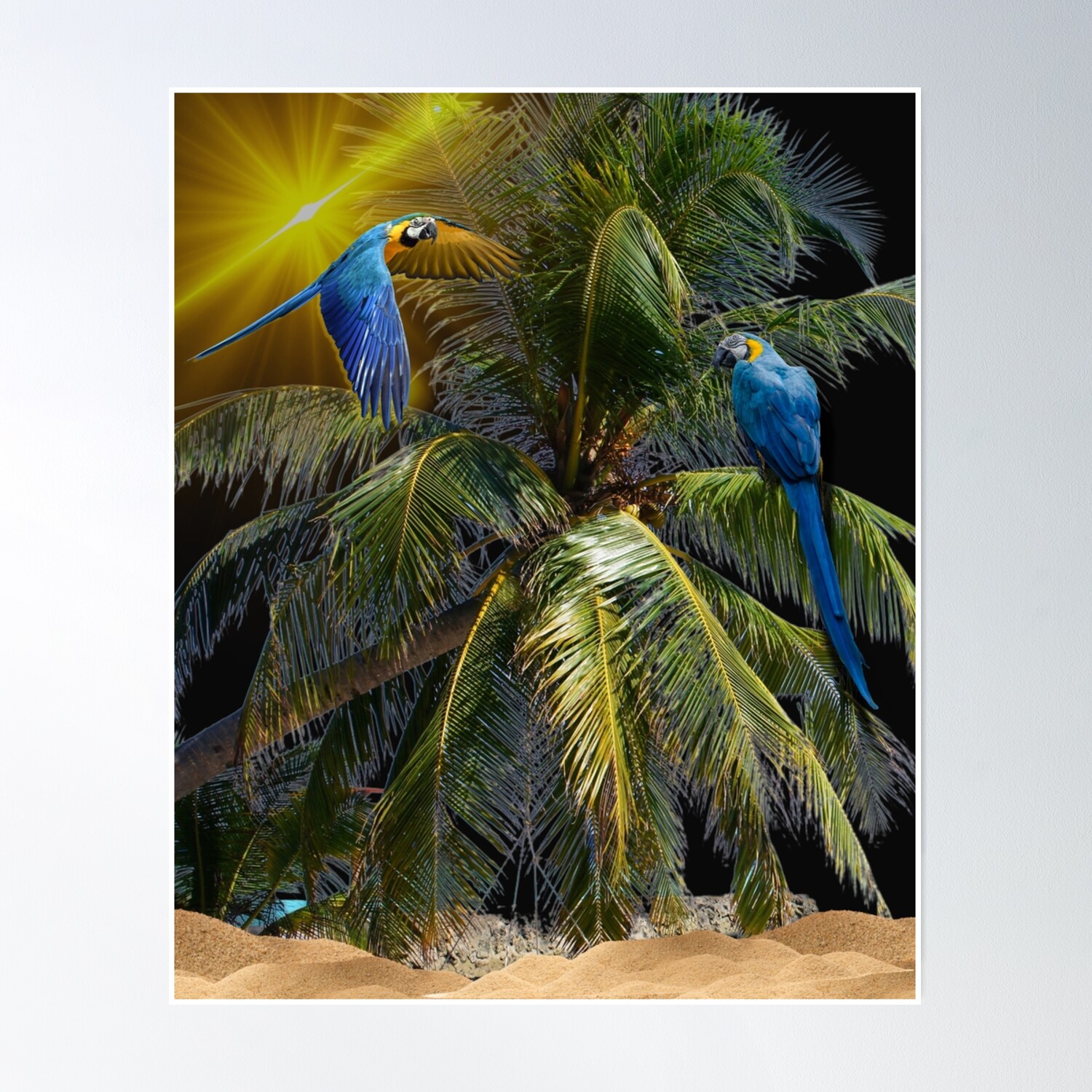 Tropical Bird Collection, Parrots, Palm Trees With Sun Rays Poster Wall ...