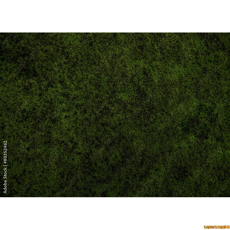 Tropical Coniferous Forest Moss Covered Fall Trees Photography ...