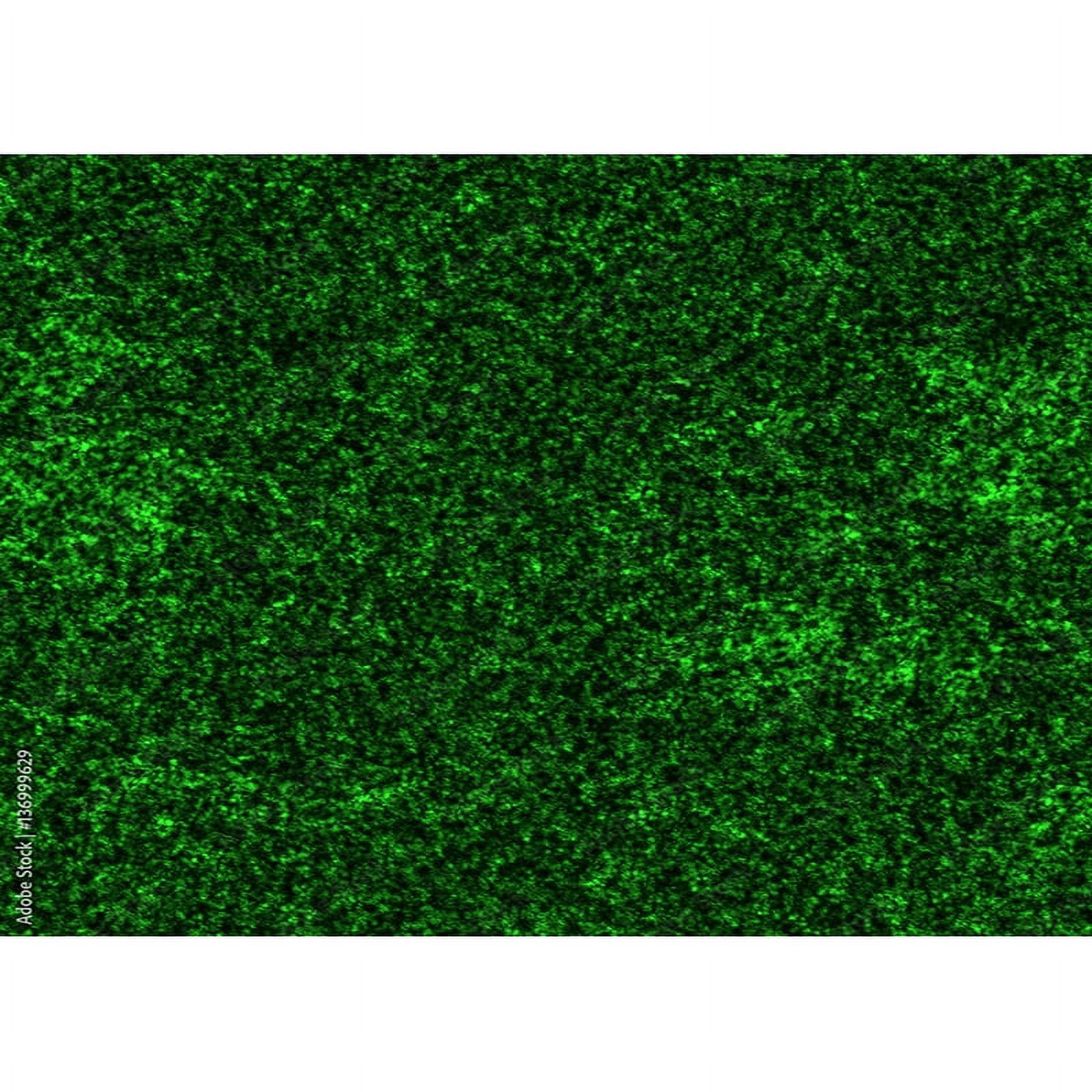 Tropical Coniferous Forest Moss Covered Fallen Trees Photography ...