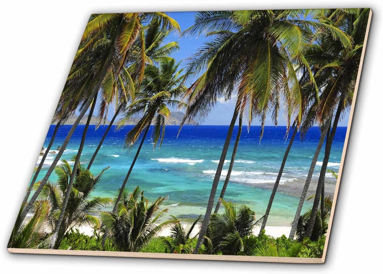 Tropical Day Scene with Swaying Palm Trees & Glimpses of Ceramic Tile ...