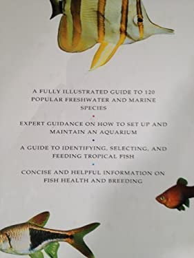 Pre-Owned Tropical Fish Identifier: A Complete Guide to Identifying ...