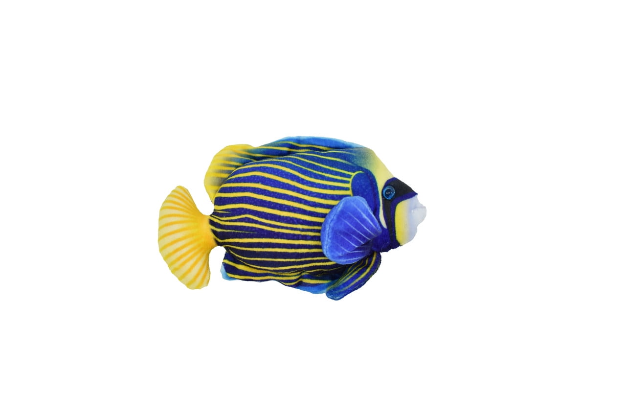 Tropical Fish Magnet, AngelFish, Pterophyllum, Ciclids, Fish Design ...