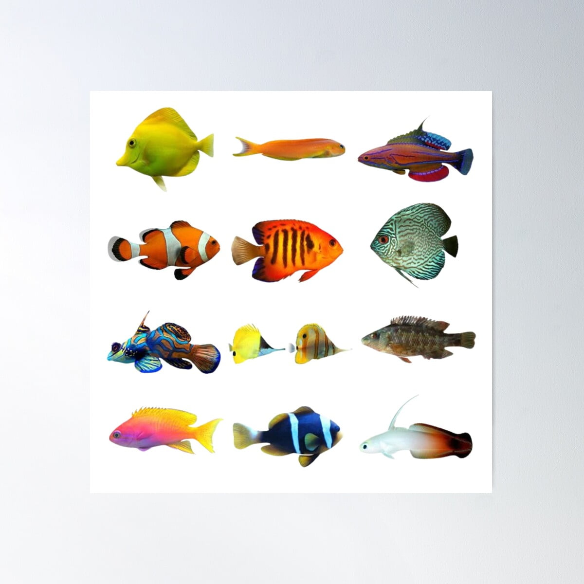 Tropical Fish Sticker Pack Poster Wall Art, Modern Wall Decor For ...