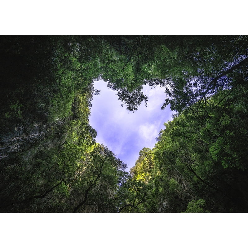 Tropical Forest Green Trees Plants Leaves Vinyl Photography Backdrops ...