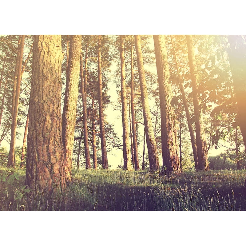 Tropical Forest Green Trees Plants Leaves Vinyl Photography Backdrops ...