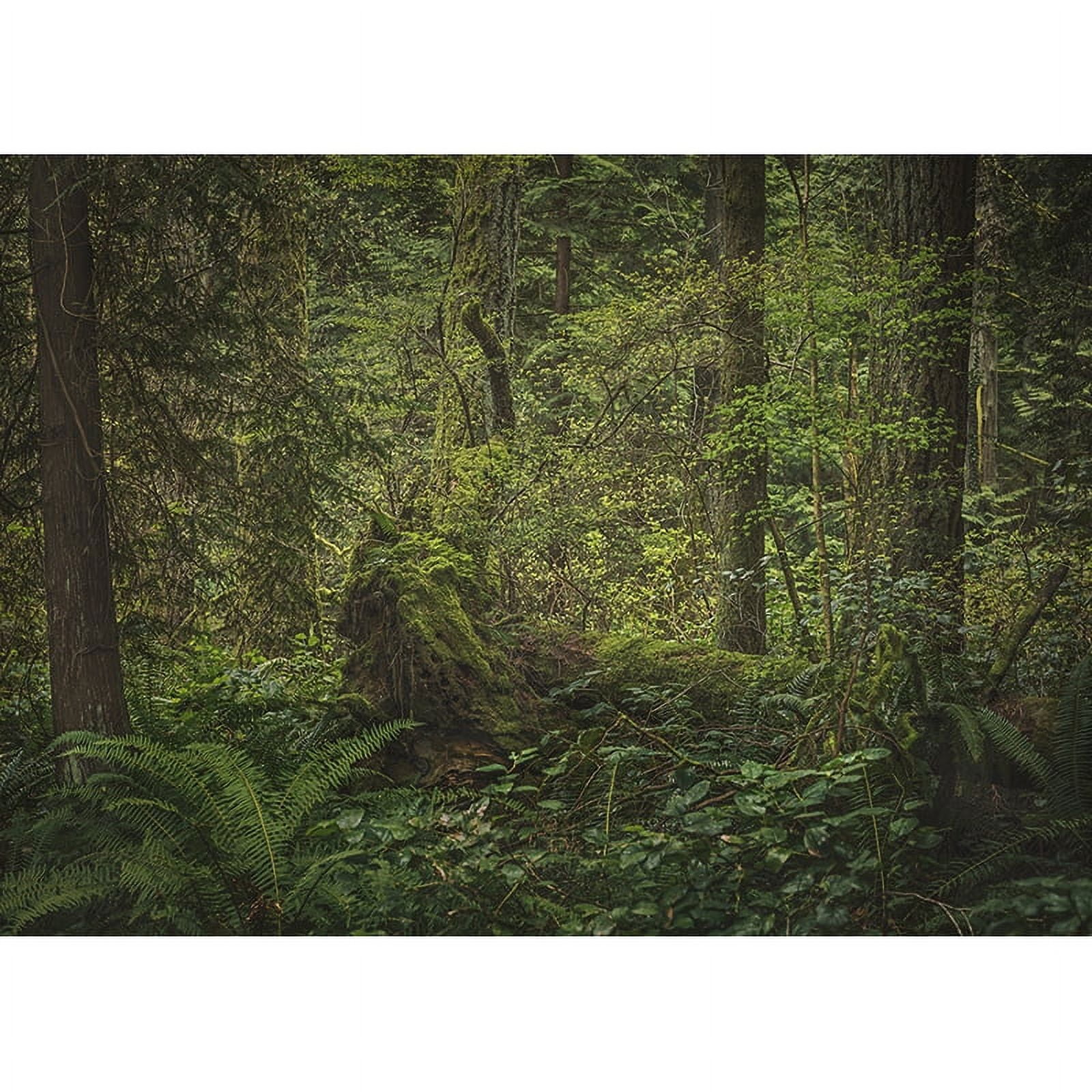 Tropical Forest Green Trees Plants Leaves Vinyl Photography Backdrops ...