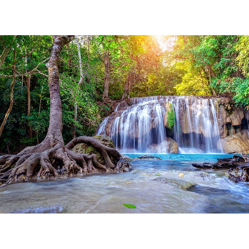 Tropical Forest Green Trees Plants Leaves Vinyl Photography Backdrops ...