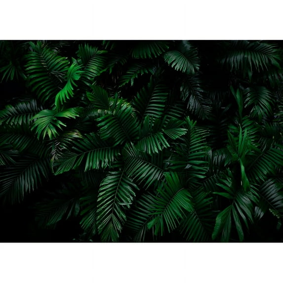 Tropical Forest Green Trees Plants Leaves Vinyl Photography Backdrops ...