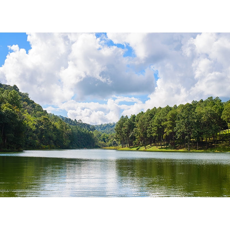 Tropical Forest Green Trees Plants Leaves Vinyl Photography Backdrops ...
