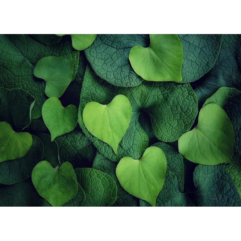 Tropical Forest Green Trees Plants Leaves Vinyl Photography Backdrops ...