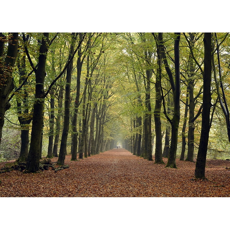 Tropical Forest Green Trees Plants Leaves Vinyl Photography Backdrops ...