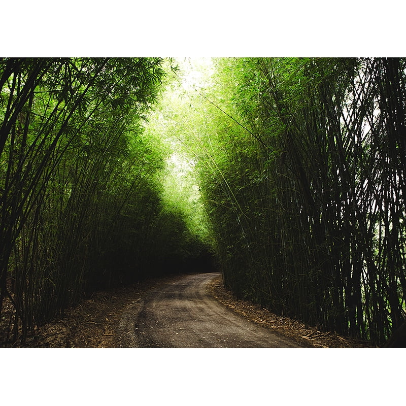 Tropical Forest Green Trees Plants Leaves Vinyl Photography Backdrops ...