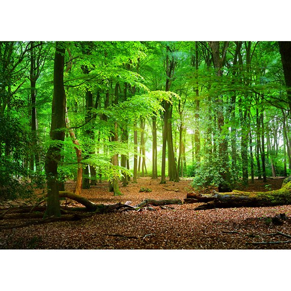 Tropical Forest Green Trees Plants Leaves Vinyl Photography Backdrops ...