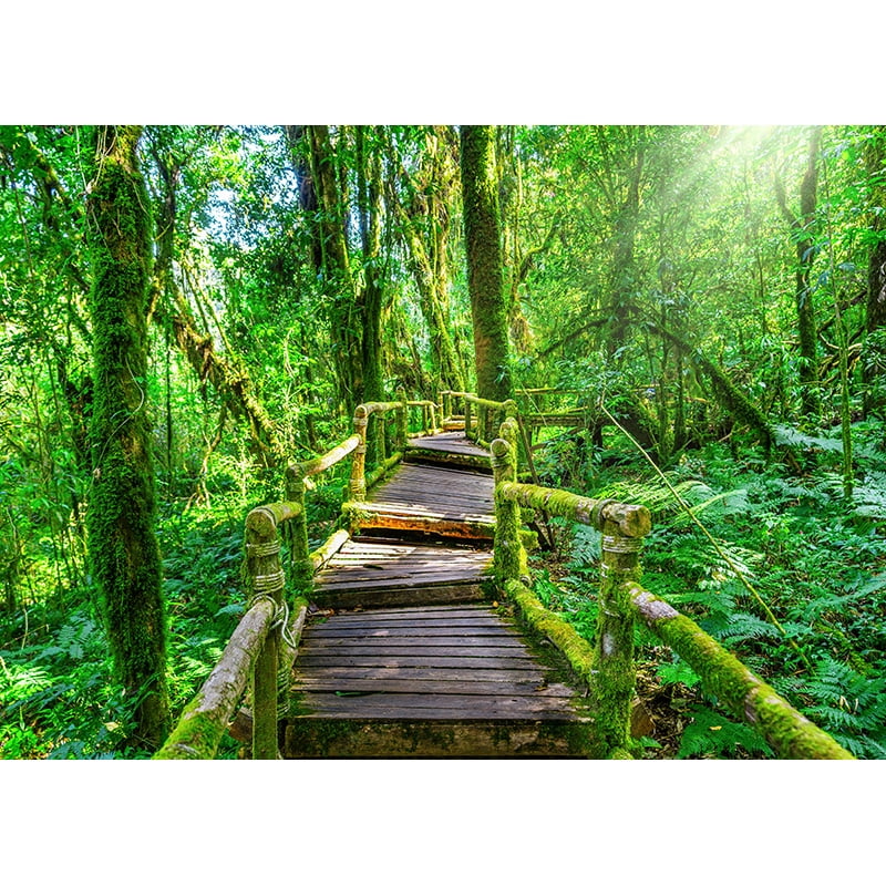 Tropical Forest Green Trees Plants Leaves Vinyl Photography Backdrops ...